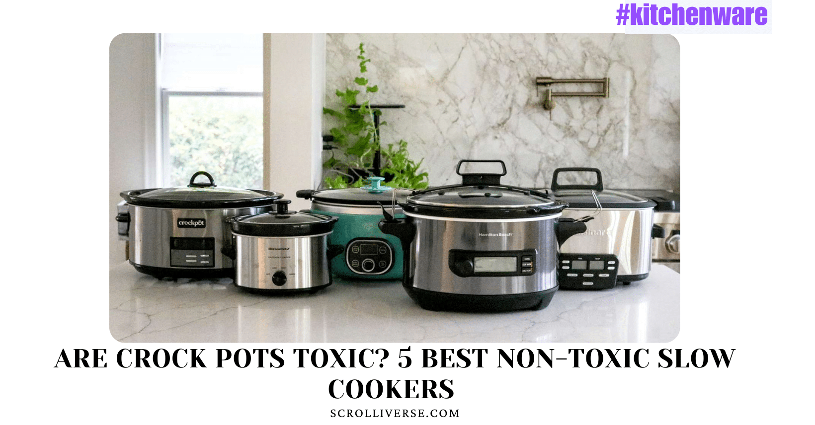 Are Crock Pots Toxic? What You Need to Know Now